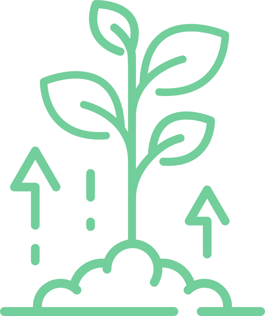 Distributor - Senson